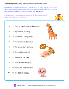 Adjectives before and after nouns - Fly | Worksheet | ClassWeekly.com