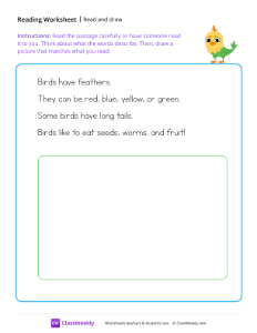 Read and draw - Birds | Worksheet | ClassWeekly.com